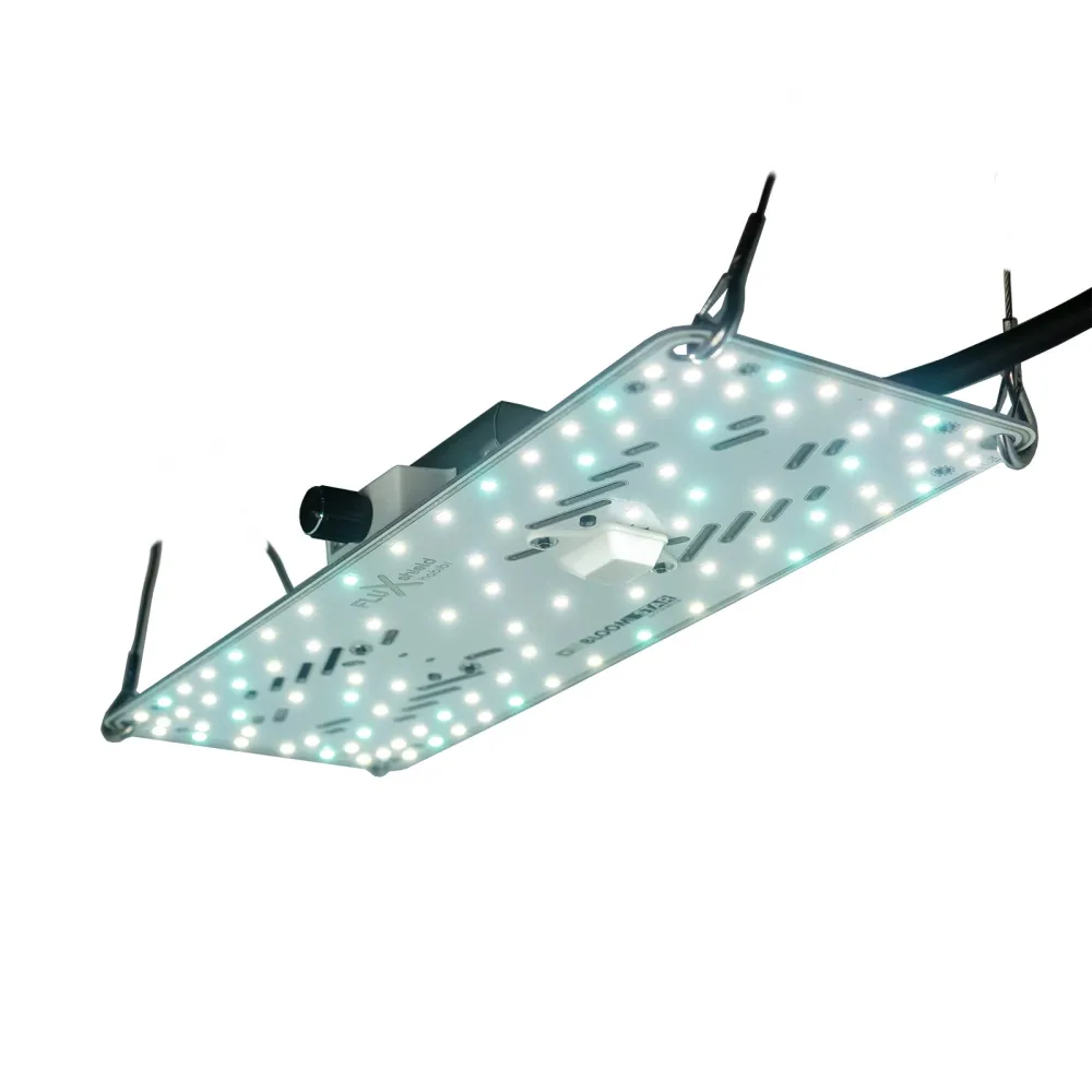 Bloomstar FLUXshield Habibi 140 LED – Perfekte Anzucht & Mutterpflanzen