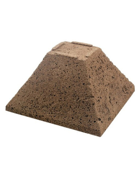 Eazy Plug Eazy Pyramid – Gesunde Pflanzen & starke Wurzeln