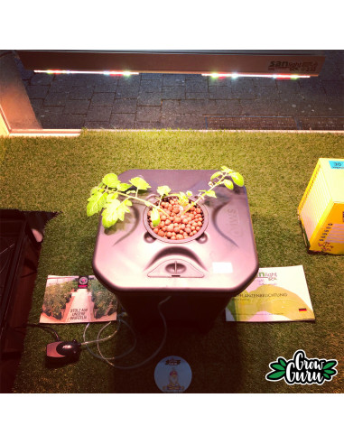 Nutriculture Oxypot DWC-System – Einfacher Einstieg in Hydrokultur