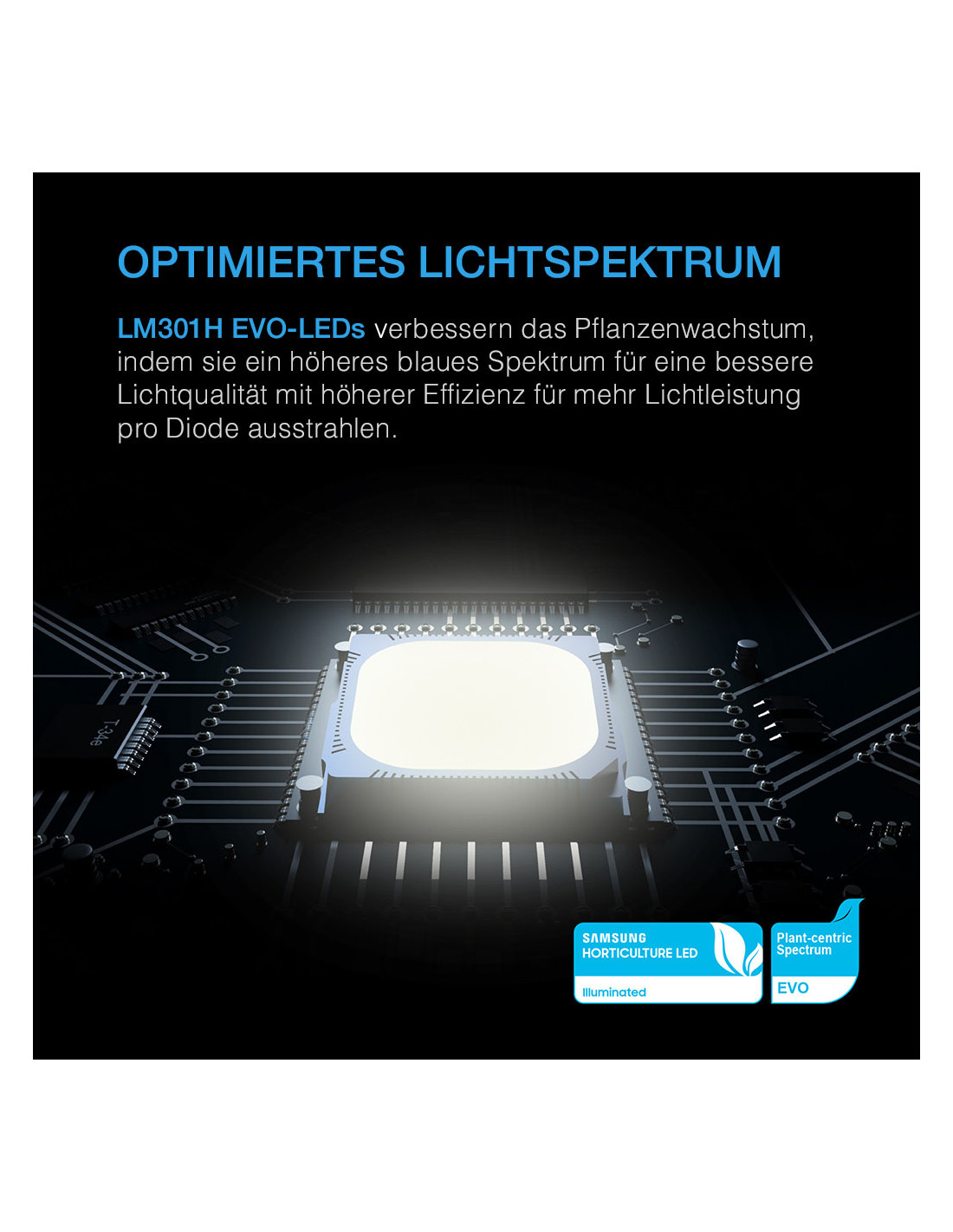 AC Infinity IONFRAME EVO3 280W – Effiziente Grow-LED für alle Phasen